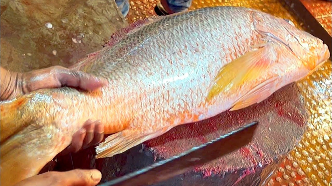 Fastest Big Snapper Fish Cleaning & Chopping By Expert Fish Cutter ...