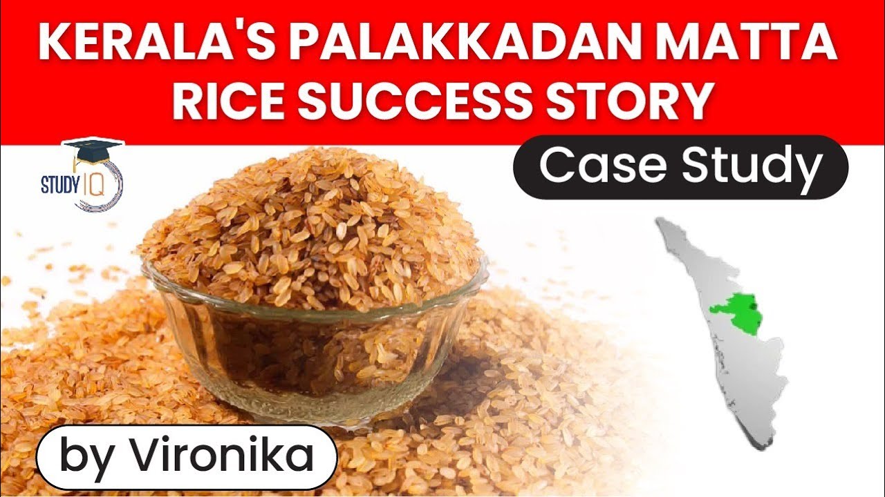 Palakkadan Matta Rice scripts a success story in Kerala by using ...