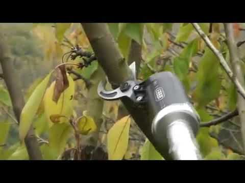 Κονταροψαλίδα αέρος LISAM SUPER SLY ASTA RAPID MAGNESIUM-Newtools.gr - YouTube