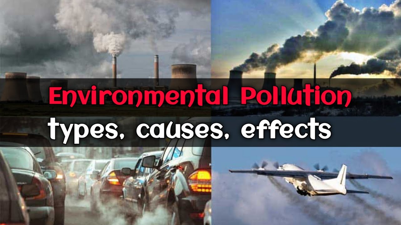 Pollution | Air and Water Pollution | Causes and effect of pollution ...