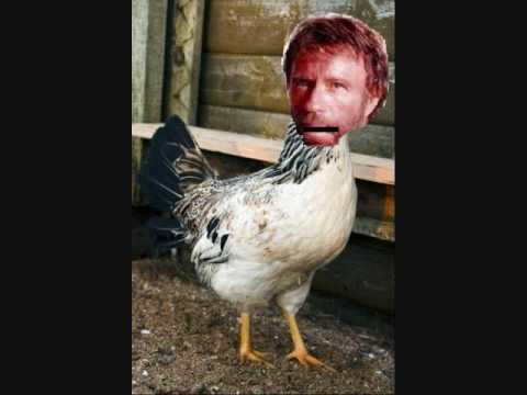 Chicken Norris - YouTube