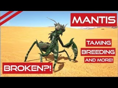 Mantis | Broken Meta | Taming, Breeding and How to Use - YouTube