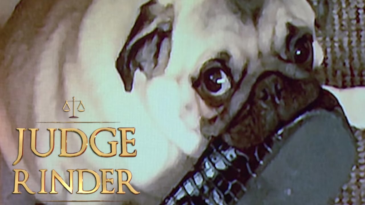 Woman's Dog Rips Up Her Daughter's Home! | Judge Rinder - YouTube