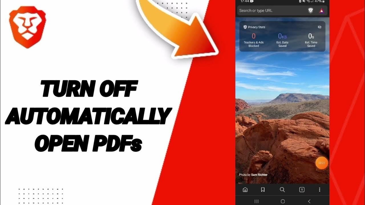 How To Turn Off Automatically Open PDFs On Brave Private Web Browser ...