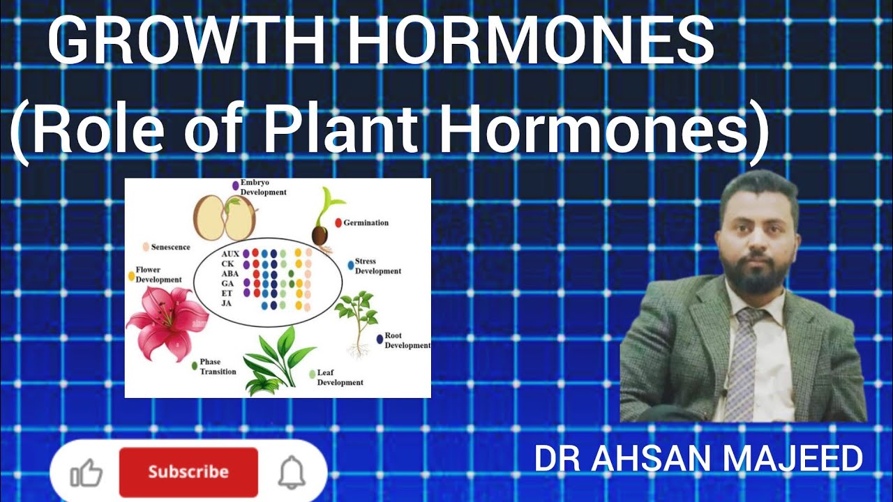 Growth Hormone | Role of plant Hormones | Class 12 Biology Ch 16 - YouTube
