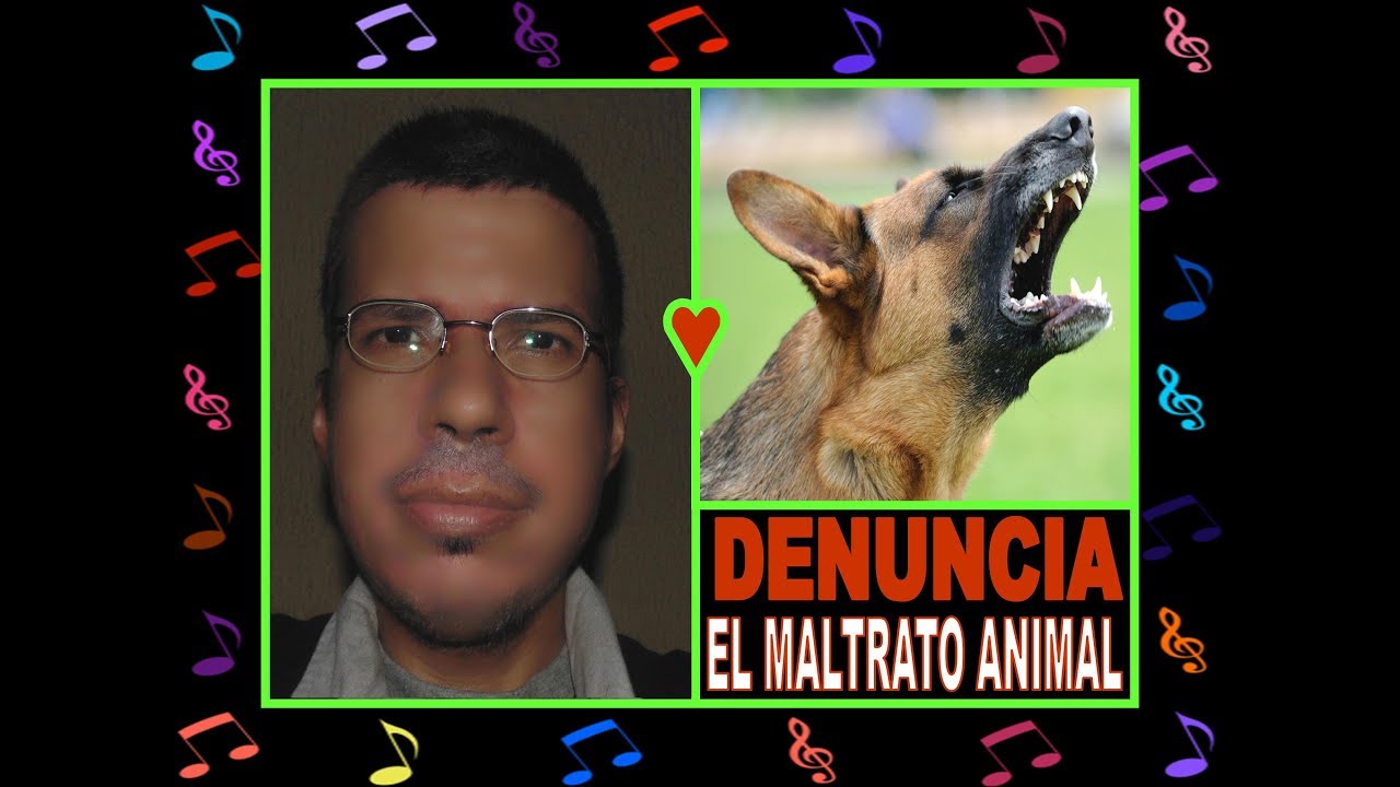 Carlos Ruperto Fermín "Perro de la Calle" (Canción + Letra) Ekologia ...