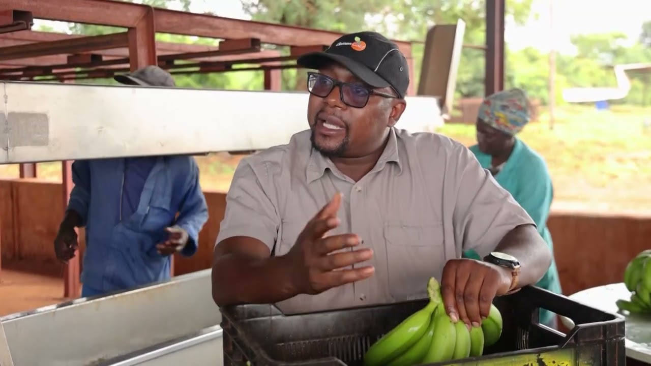 African Farming Season 3 Episode 2: Lavhengwa Nemaorani (FULL EPISODE ...