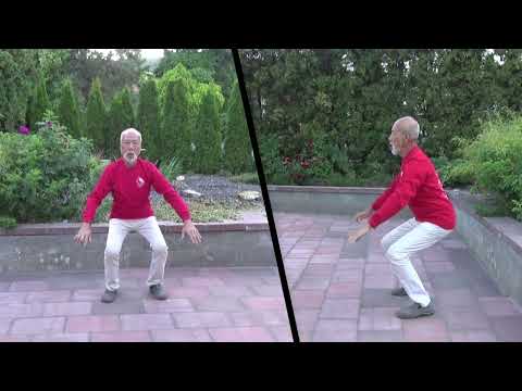 108 moves Moy TaiChi set - Move #17 Cross Hands