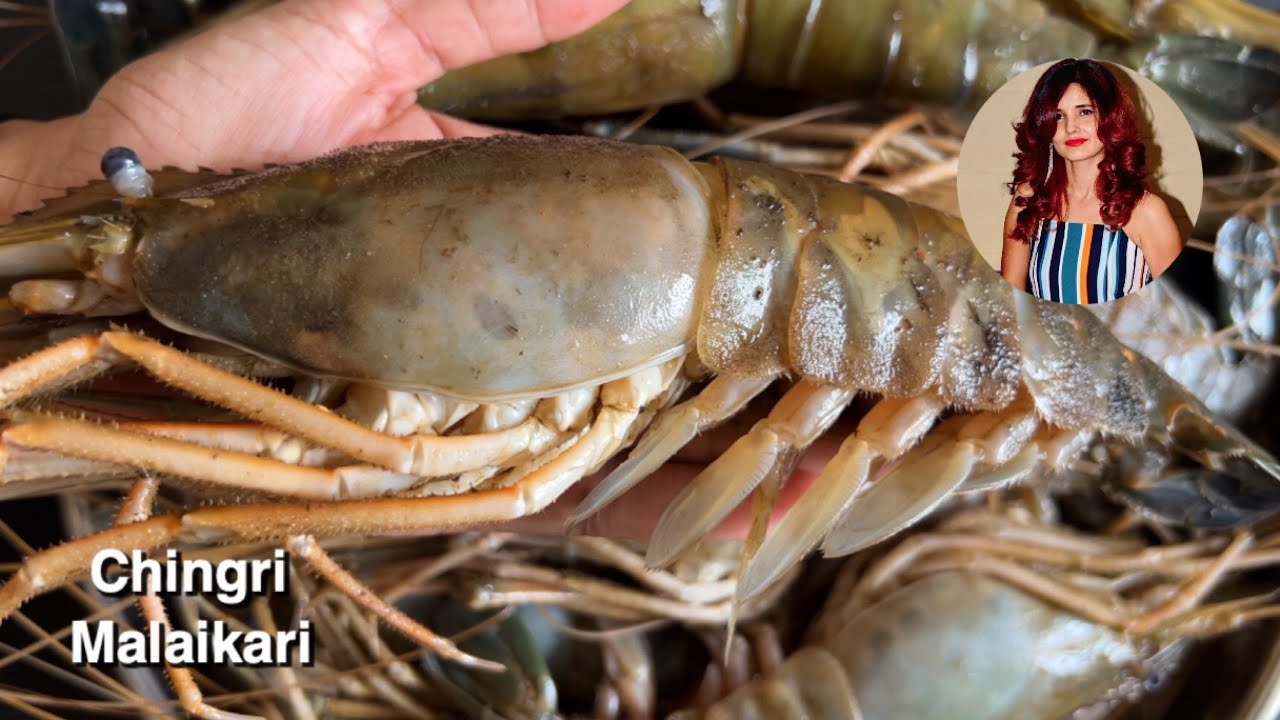 Chingri Macher Malai Curry - Chingri Malaikari Recipe - Bengali Prawn ...