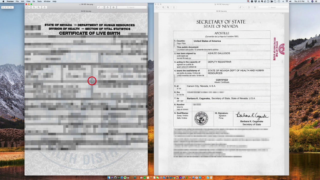 Certificado De Matrimonio De Reno-nevada Reno Nevada Marriage Records