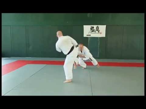 Kyokushinkai : Leg Technique -- Yoko Geri Jodan. - YouTube