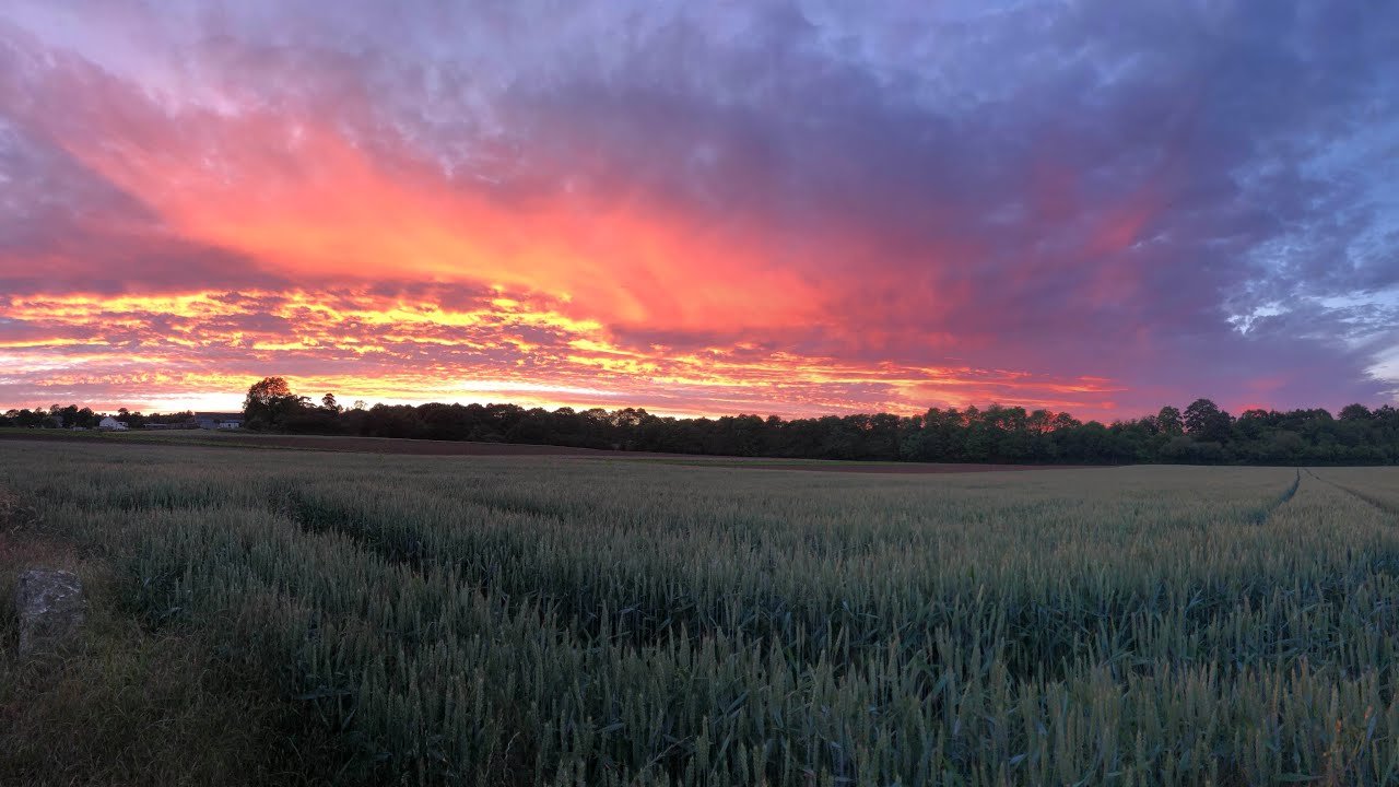 Victure HC200 trail camera full HD 12MP. For its cost possibly the best ...