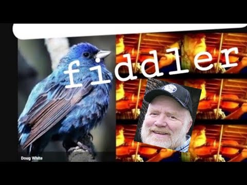fiddle ,Down Yonder ,😎Rubber Dolly, Will The Circle, - YouTube