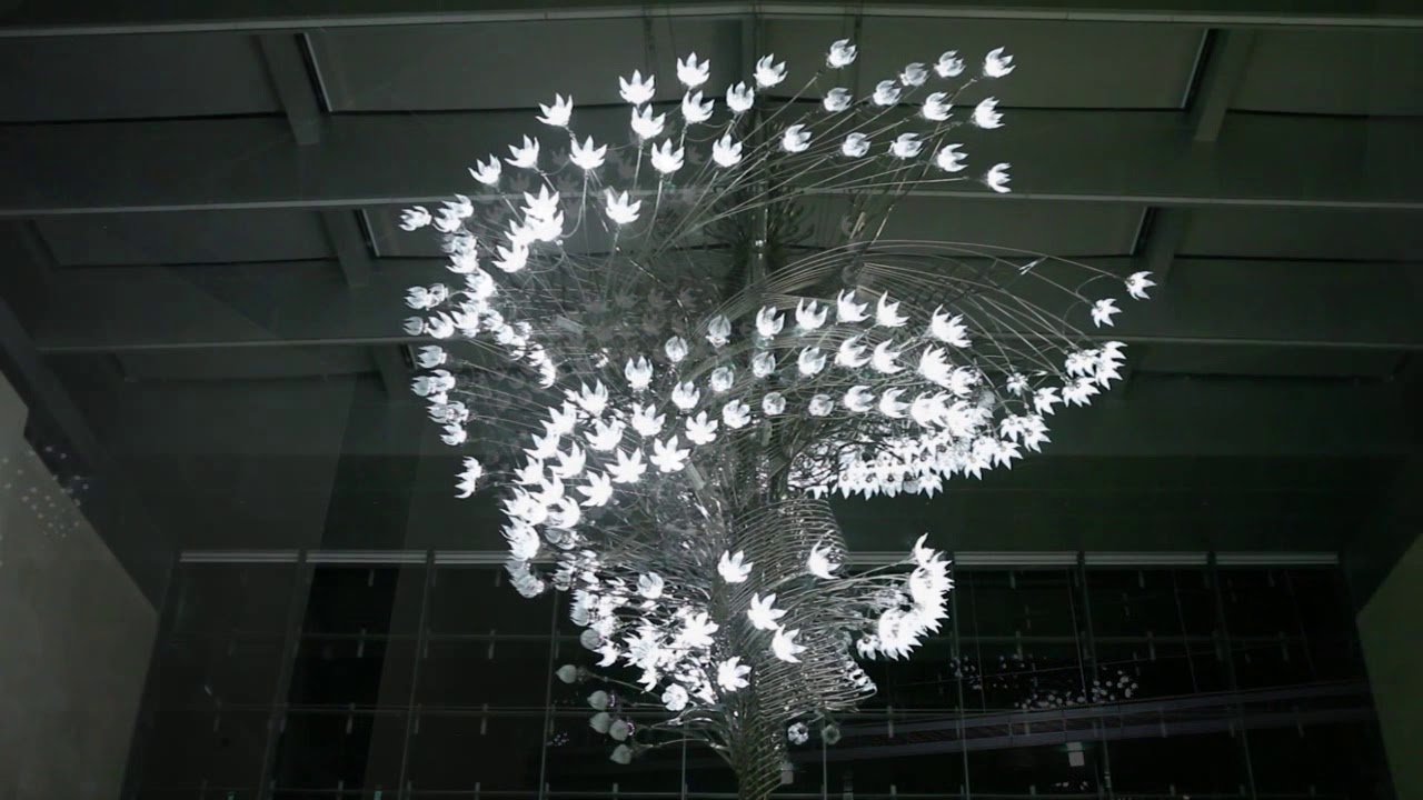 Una Lumino, 2012 by Choe U-Ram 최우람 - YouTube