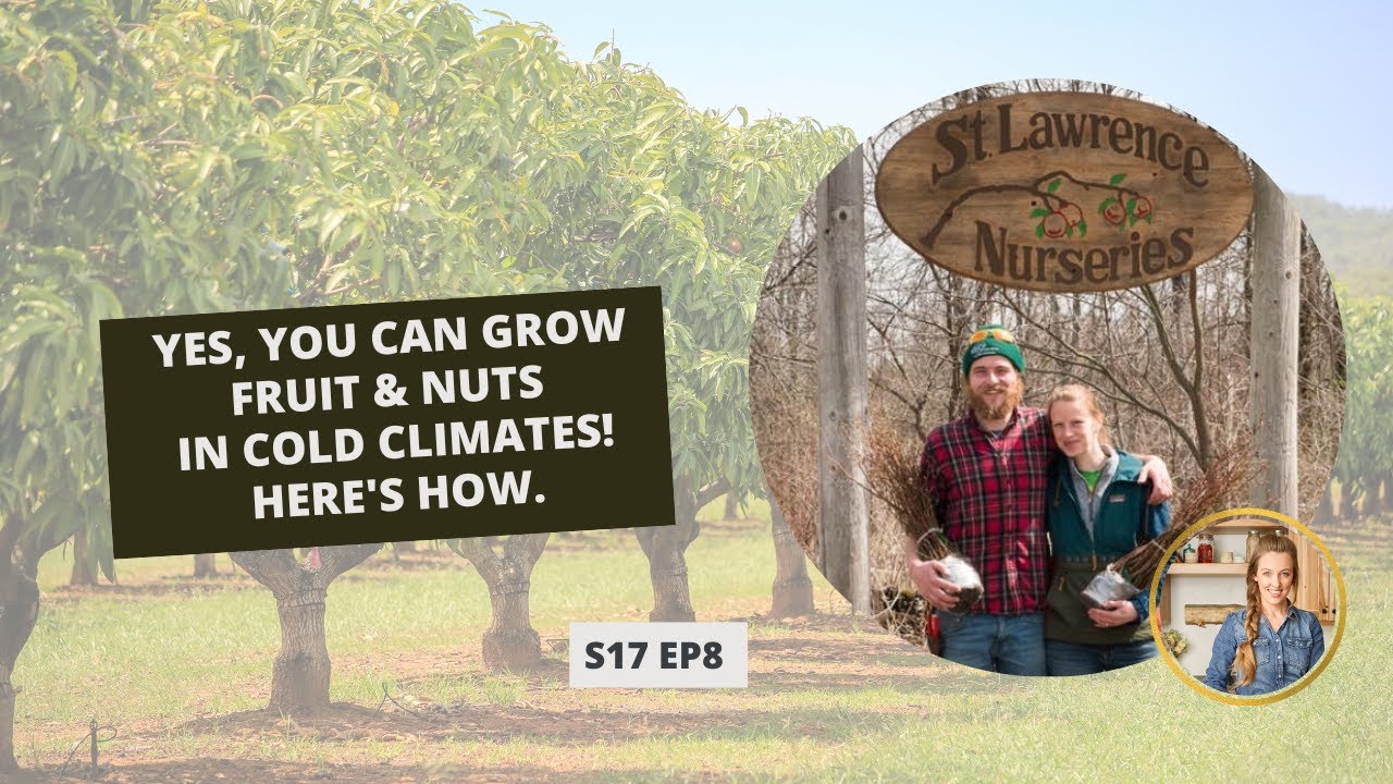S17: E8: Yes, You Can Grow Fruit & Nuts in Cold Climates! Here's How ...