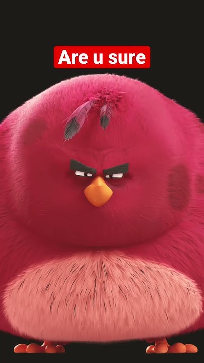 Terence Is The Biggest Bird Who Agrees Youtube