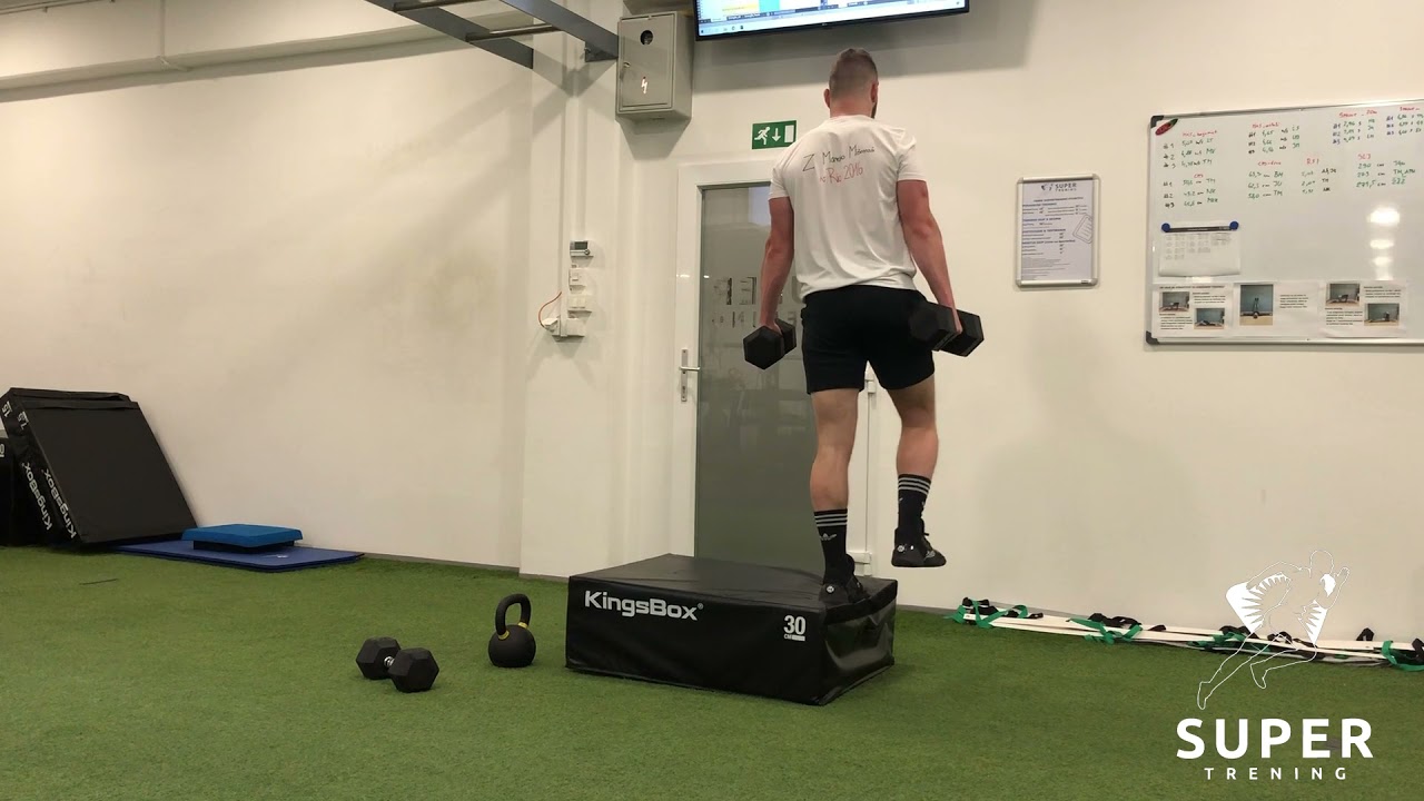 DB Lateral Step Up [2-arm] - YouTube