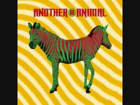 Another Animal Left Behind = www.anotheranimalrocks.com = - YouTube
