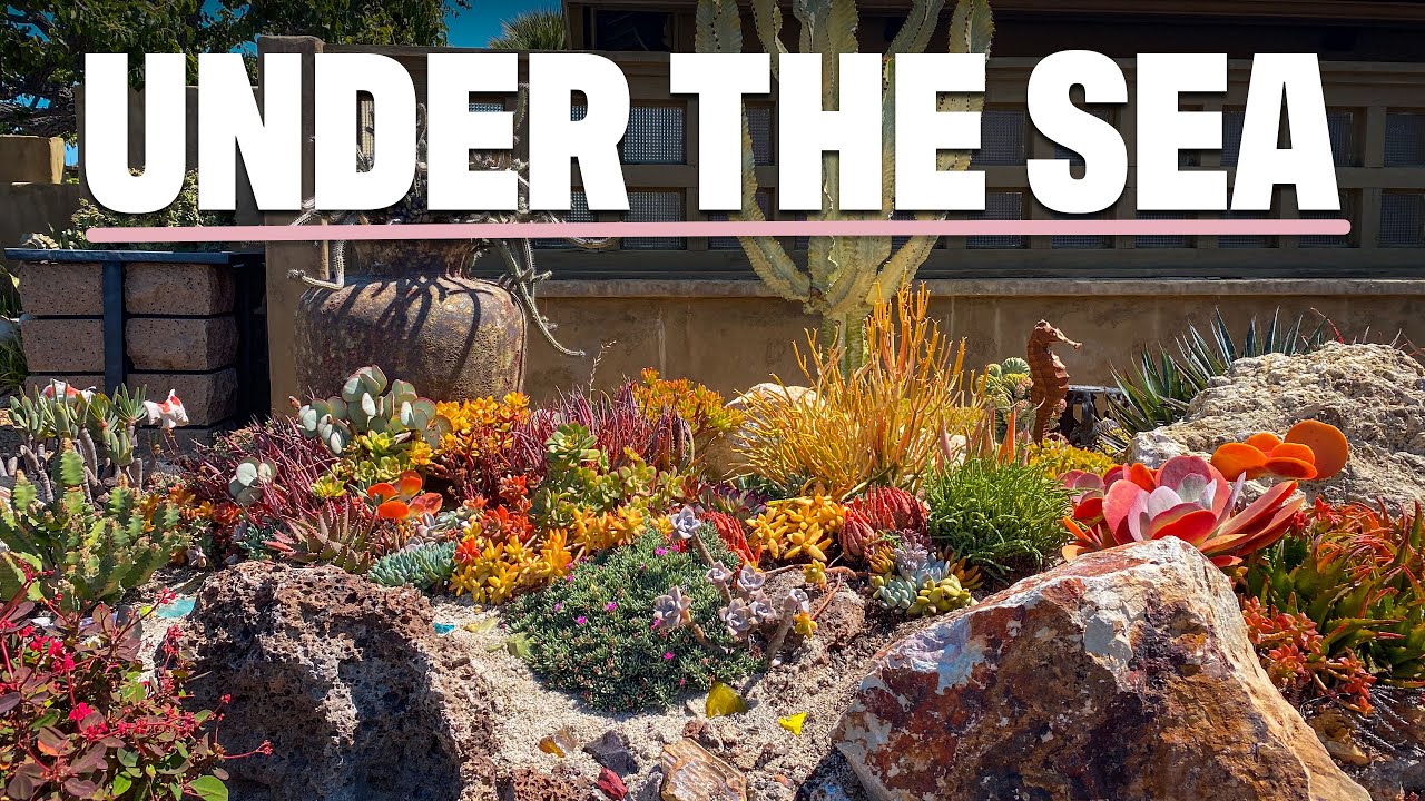 Sea-Inspired Succulents | Coral Reef Garden Maintenance - YouTube