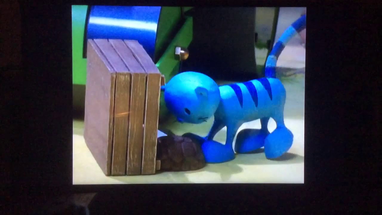 Pilchard Gets Frighten By Tommy the Tortoise, Roley’s Tortoise, Bob the ...