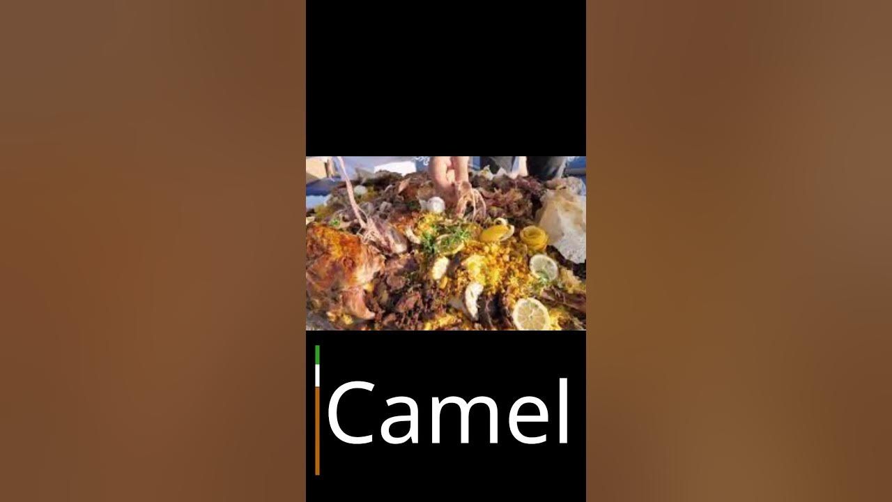 What Is The Most Famous Food In Dubai YouTube what-is-the-most-famous-food-in-dubai-youtube