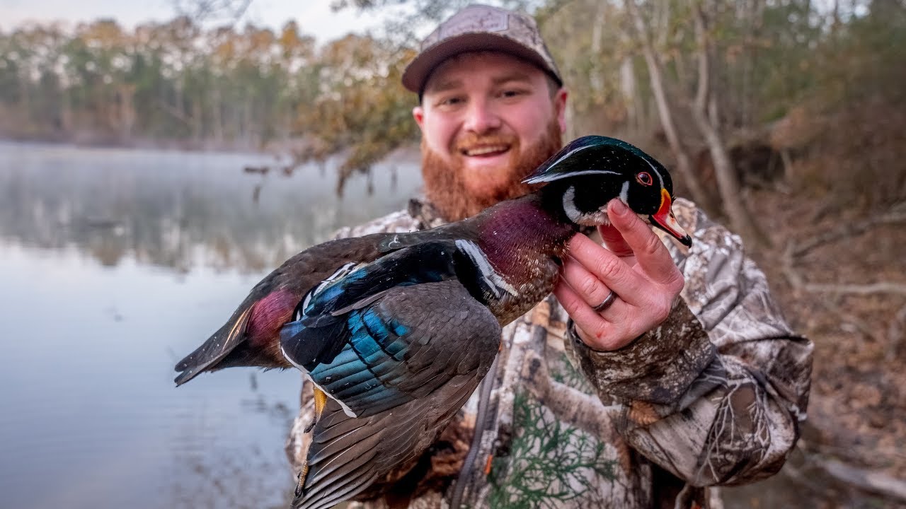 Louisiana Wood Duck Hunt | Featuring "The Typical Liberal" - YouTube