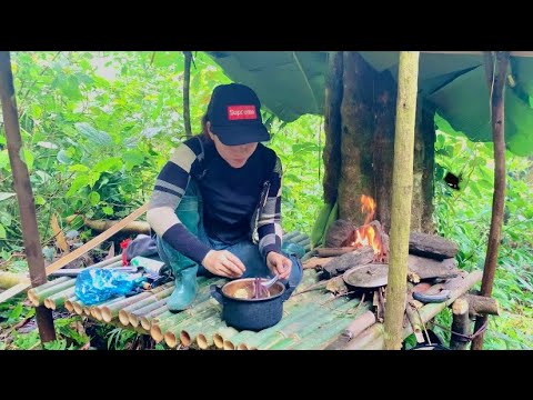 bushwalking in the forest. Use bamboo as shelter. find crabs. Pick wild ...