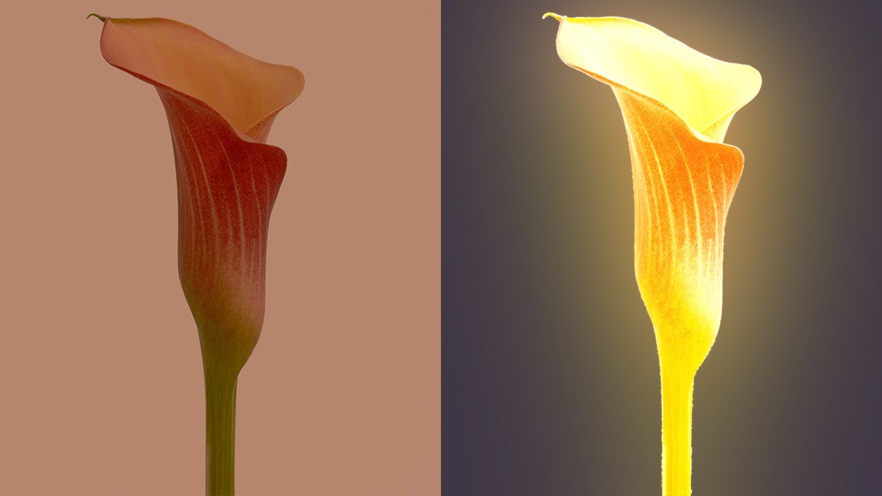 Glow Effect In Photoshop | Glowing Flower in Adobe Photoshop - YouTube