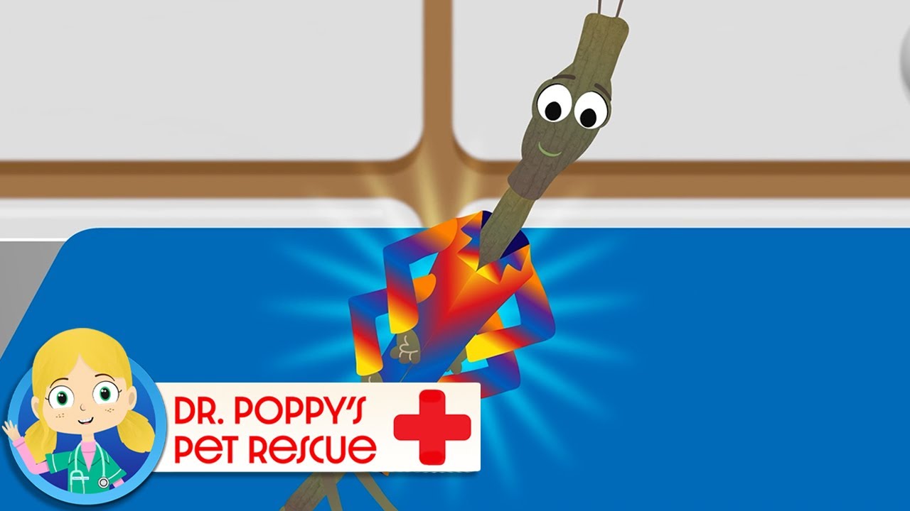 Joe the Stick Insect | Doctor Poppy - Animals For Kids | Cartoon ...