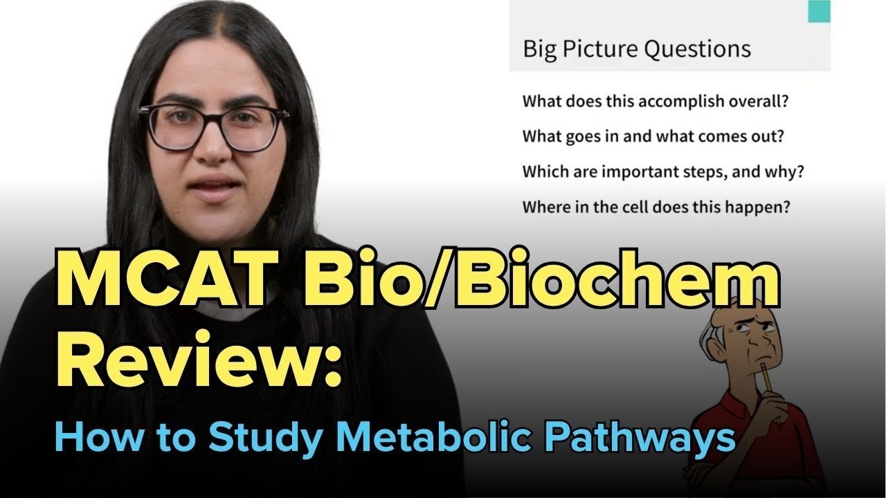 MCAT Bio/Biochem Review: How to Study Metabolic Pathways - YouTube