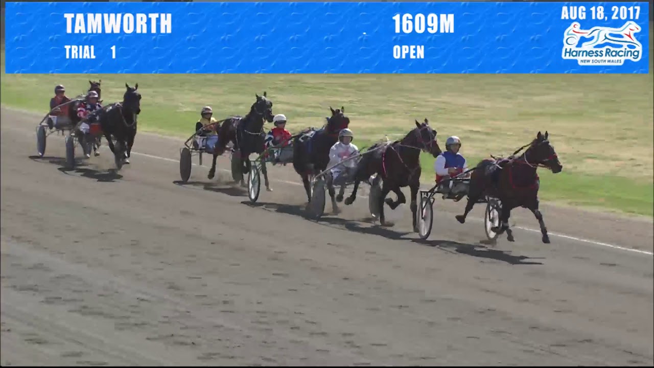 TAMWORTH - 18/08/2017 - Race 1 - PACE [Trial] - YouTube
