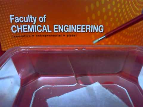 Floating Needle (Surface Tension) - YouTube