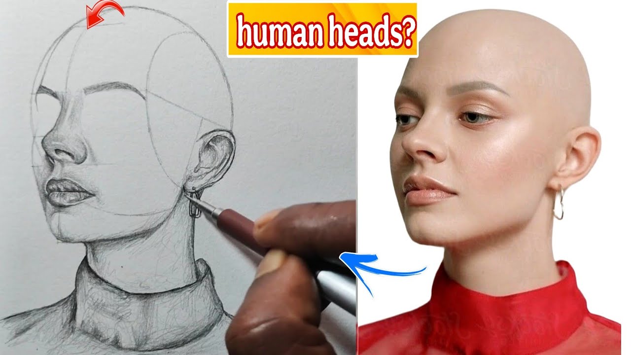 Master Human Head Drawing with This Step by Step Guide to Beginners ...