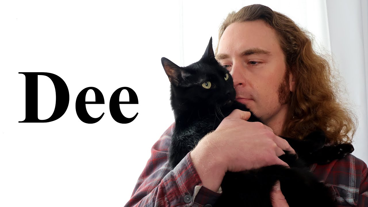 Dee - YouTube
