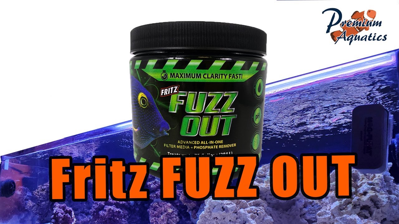 Tank Series - Fritz Fuzz Out Combating that Algae! - YouTube
