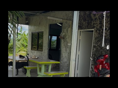 Ep 436 รีวิวบ้านสวน - YouTube