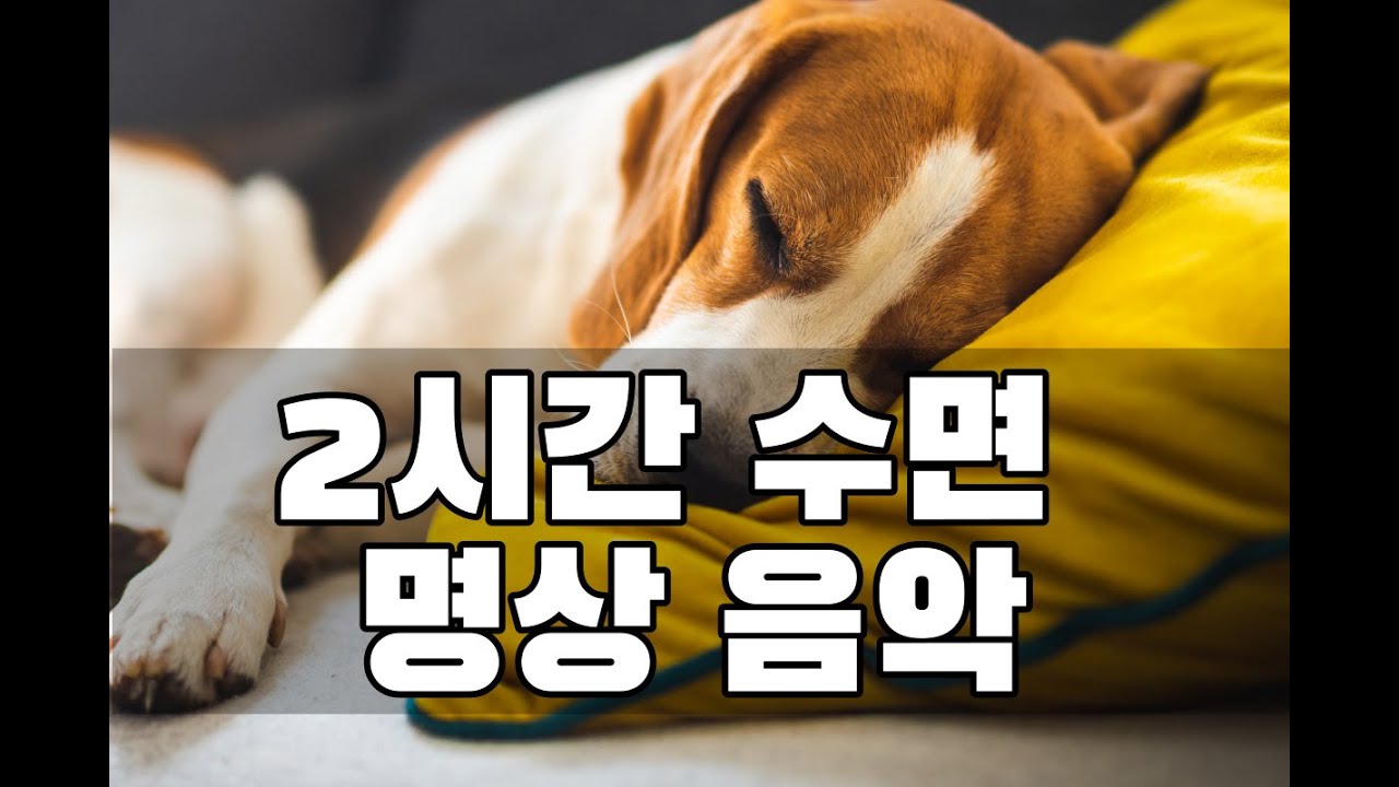 머리를 비우고 깊은 숙면을 돕는 명상 음악 통증이 가라앉고 기분을 차분하게 해주는 음악 집중이 잘되는 음악 피아노명상음악 기분전환음악 힐링음악 명상음악