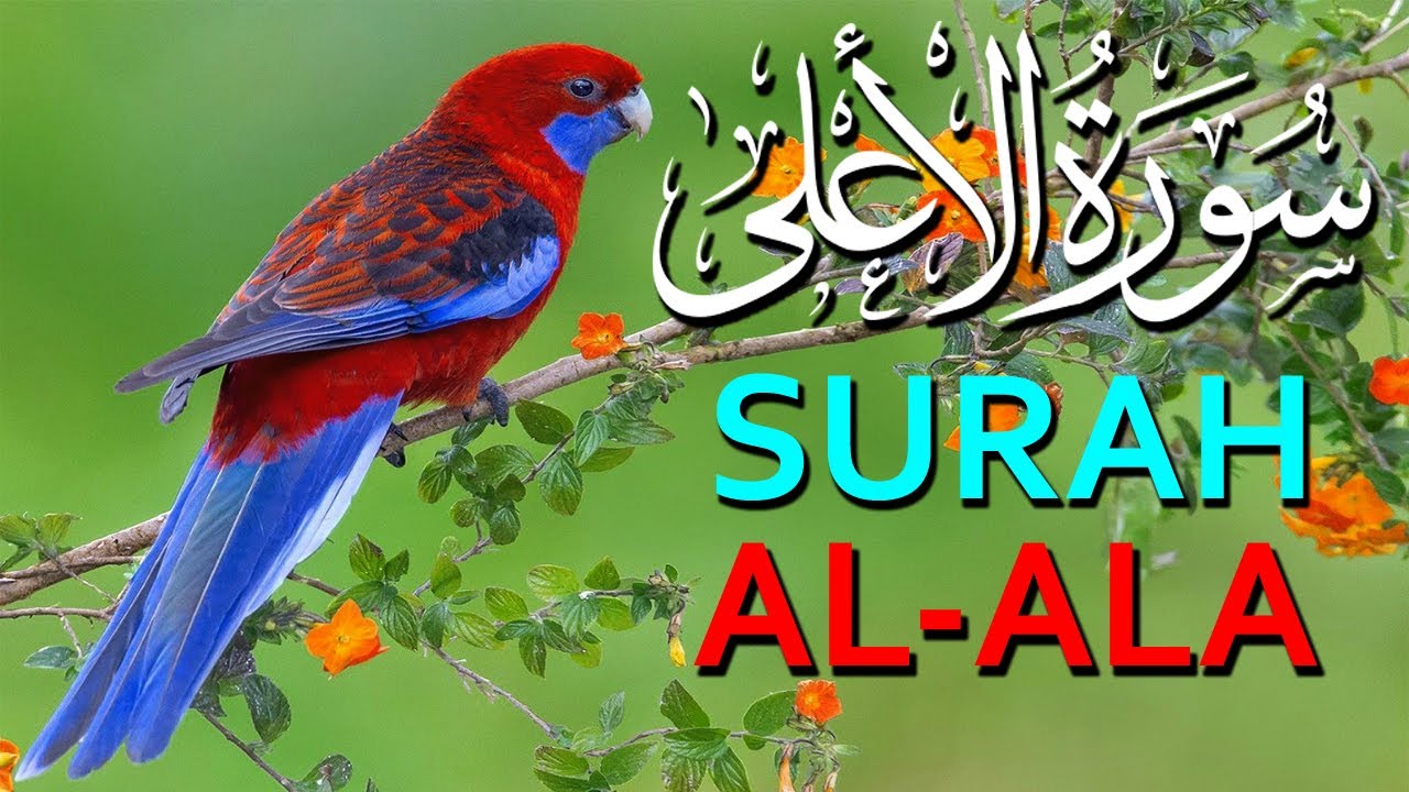 Beautiful Surah Al Ala Arabic Laerdal | Surah Al Ala Repeat Full ...