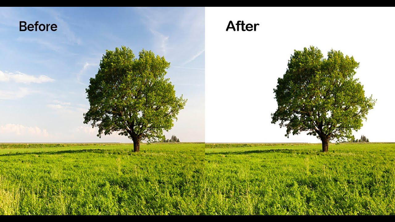 how to cut out a tree in photoshop| easy to remove tree background in ...