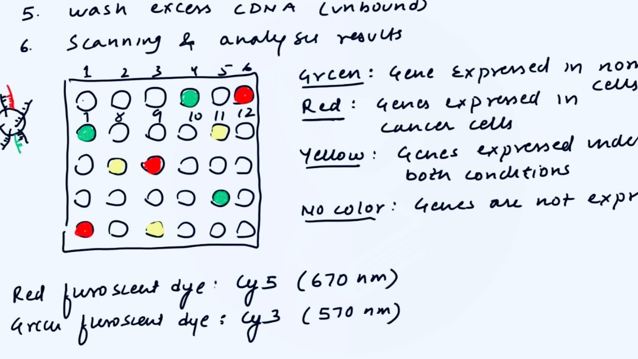 CSIR NET Unit13 Methods in Biology | RNA Expression: Transcriptomics ...