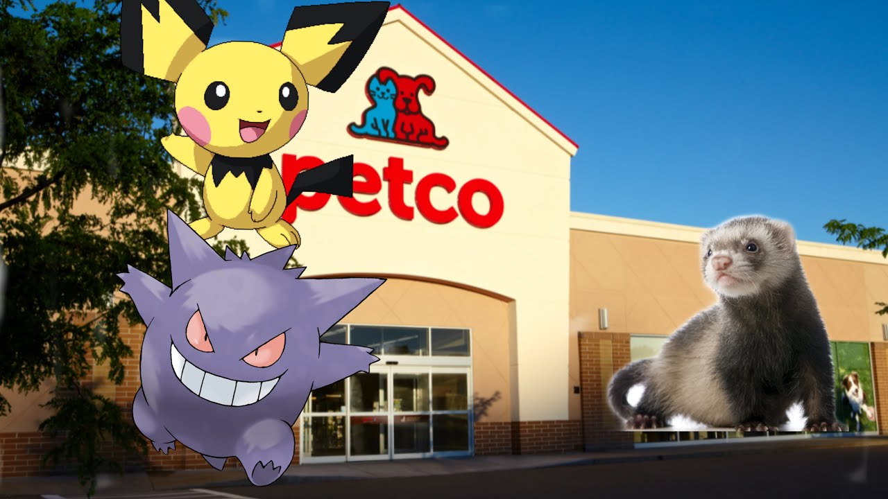 Pokemon plush: pichu and gengar go to pet go - YouTube