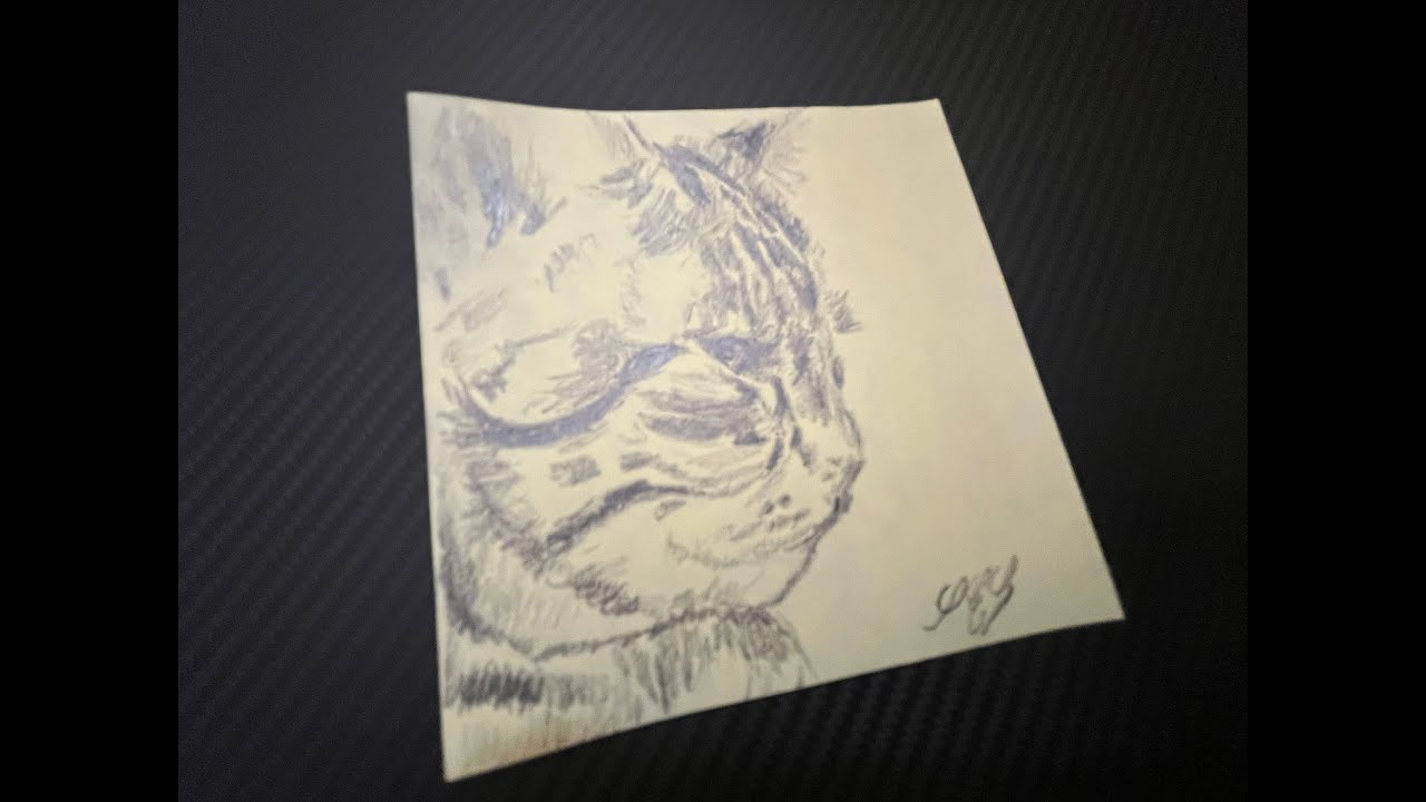 Drawing a Cat on a Sticky Note - YouTube