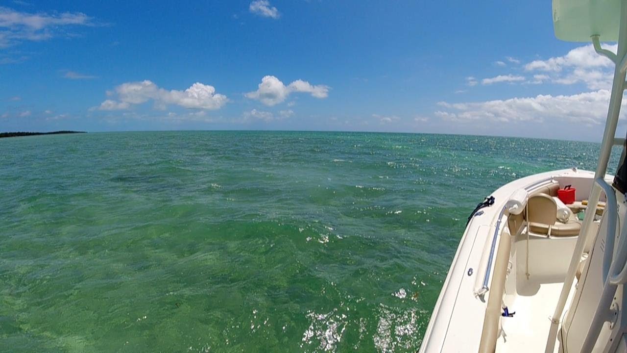 Key Largo & Stuart Sandbar - YouTube