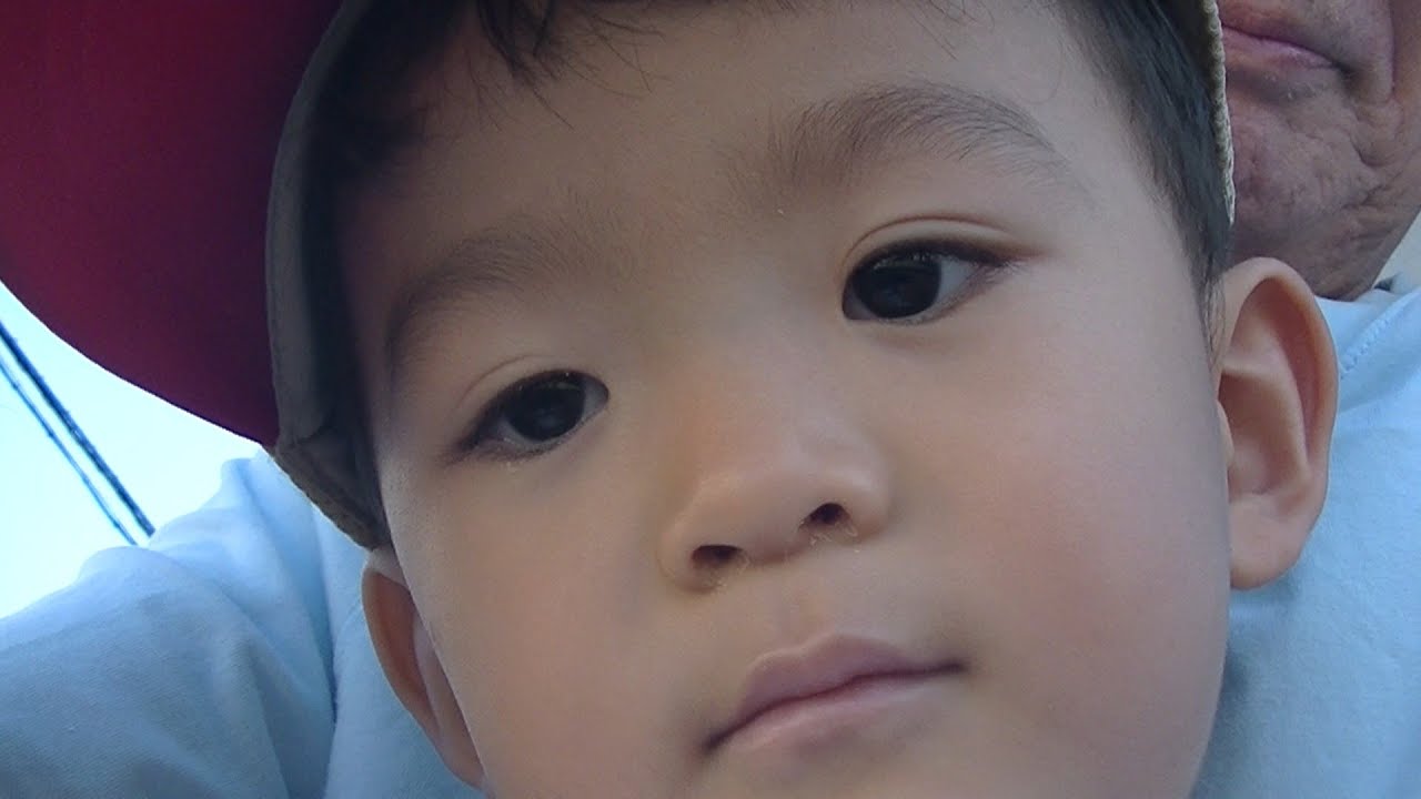 9月24日 爆発だ！タローマン大好きのお坊ちゃま（It's an explosion! A little boy who loves ...