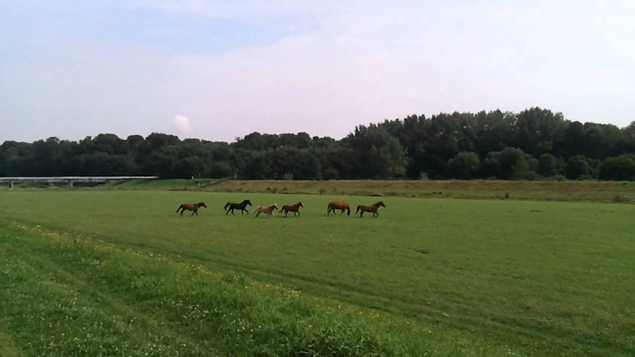 Flutbecken Brückenstraße 13.08.2010 kurz vor Flutung - YouTube