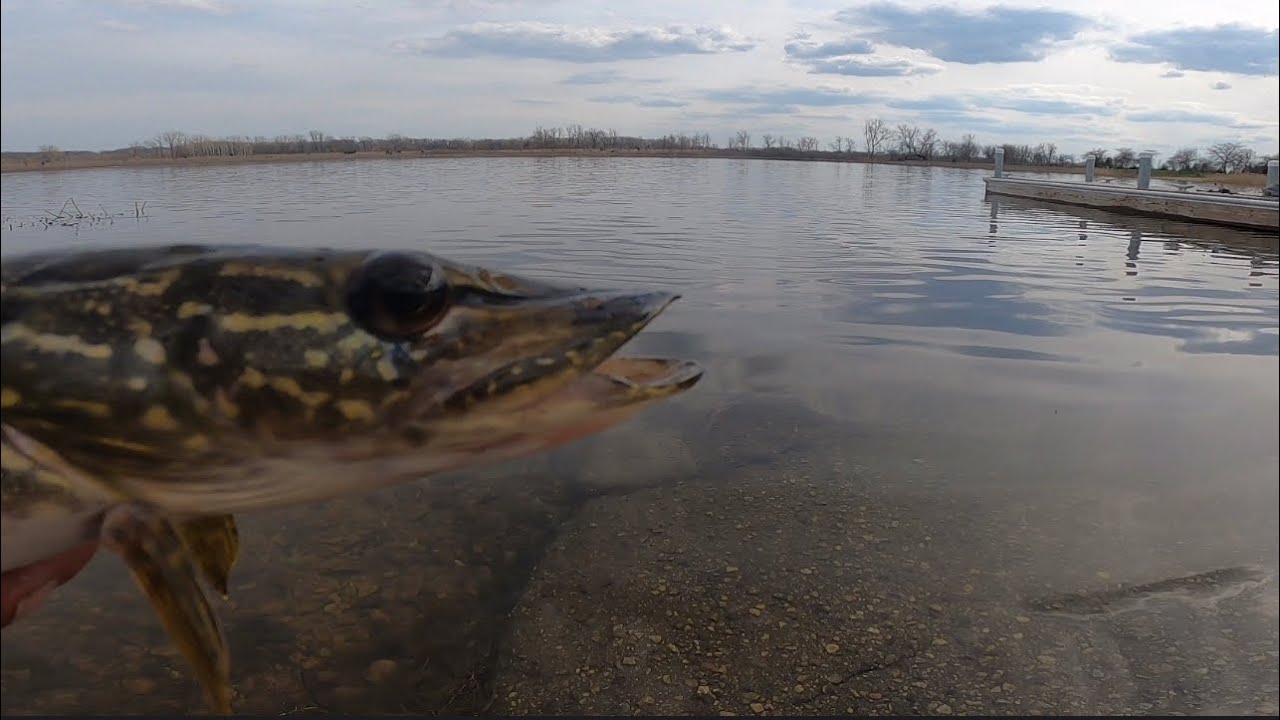 Vern Wolf Lake || Richard Bong State Park Illinois Fishing tips ...