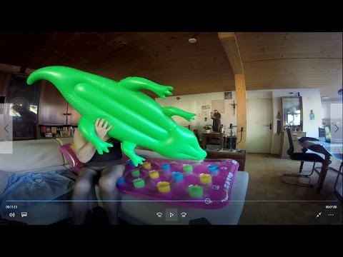 Pantyhose Lady Venus blows up a ride on crocodile