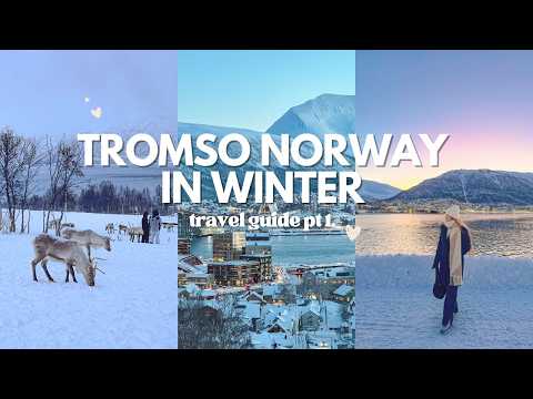 Tromso, Norway Travel Guide in Winter | Best Things to Do, See and Eat in Tromso, Norway 🇳🇴