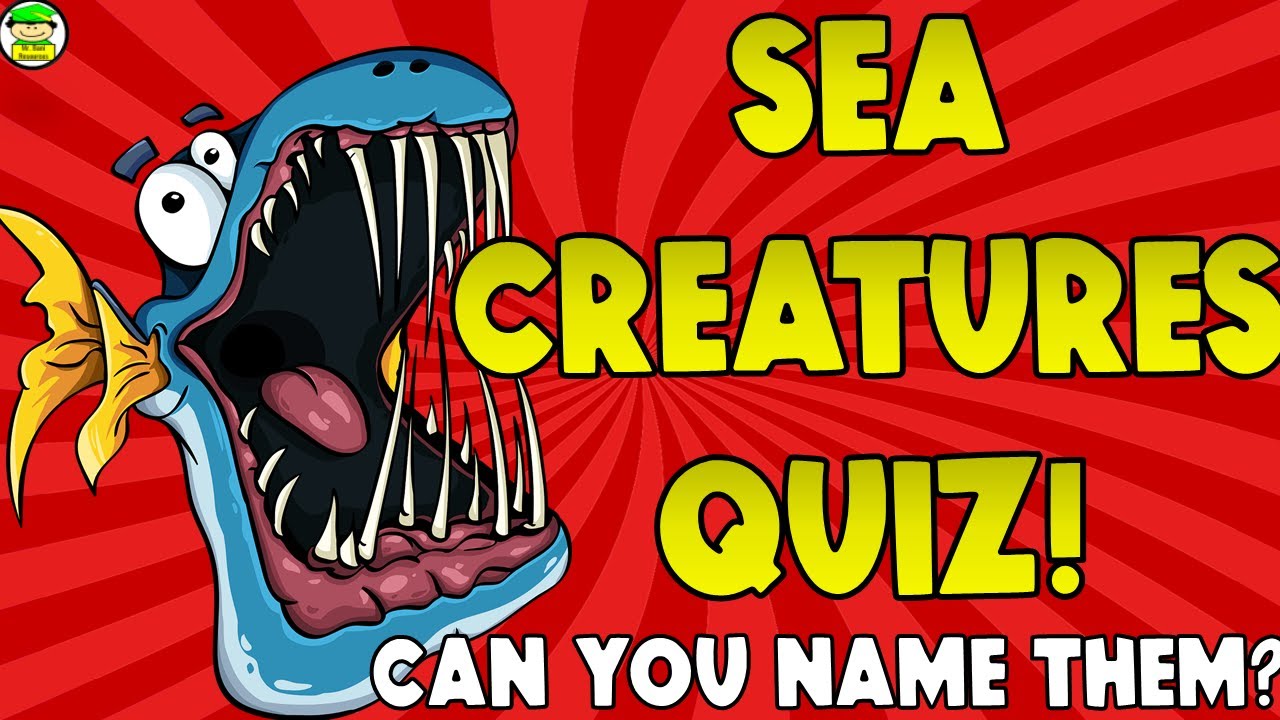 Sea Creatures Quiz: Can You Name These Amazing Sea Creatures? 🐠 - YouTube