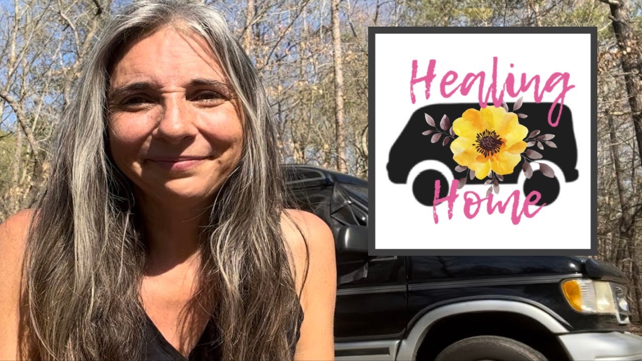 Definition of Toxic Load and Stress - YouTube